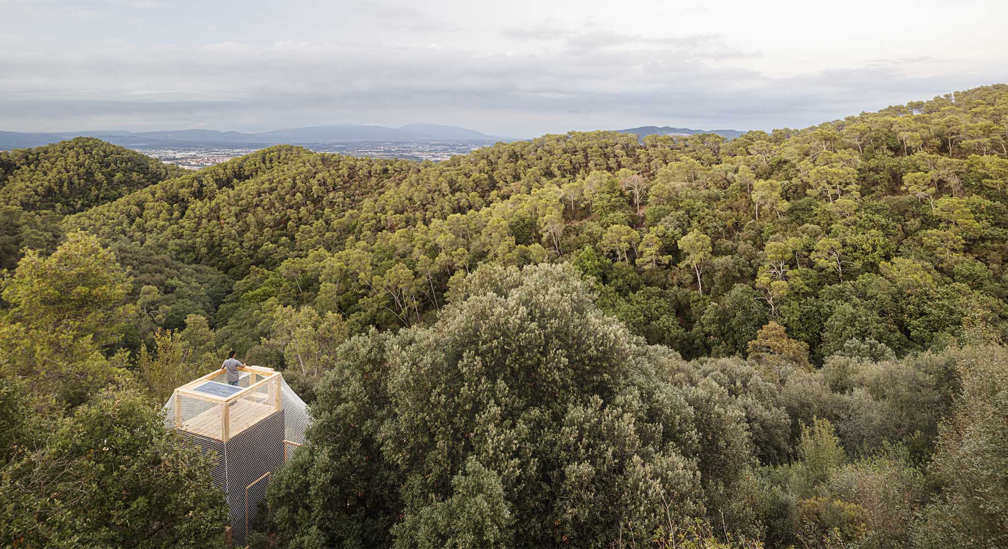 FLORA Forest Lab for Observational Research and Analysis | Biodiversity ...